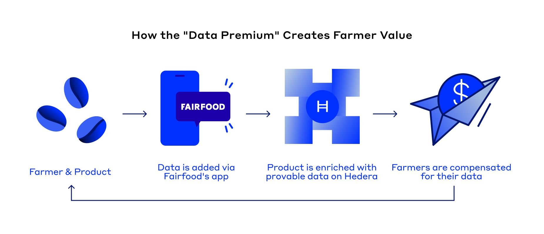 Pioneering fair payment for farmers through Carbon Markets with Hedera ...